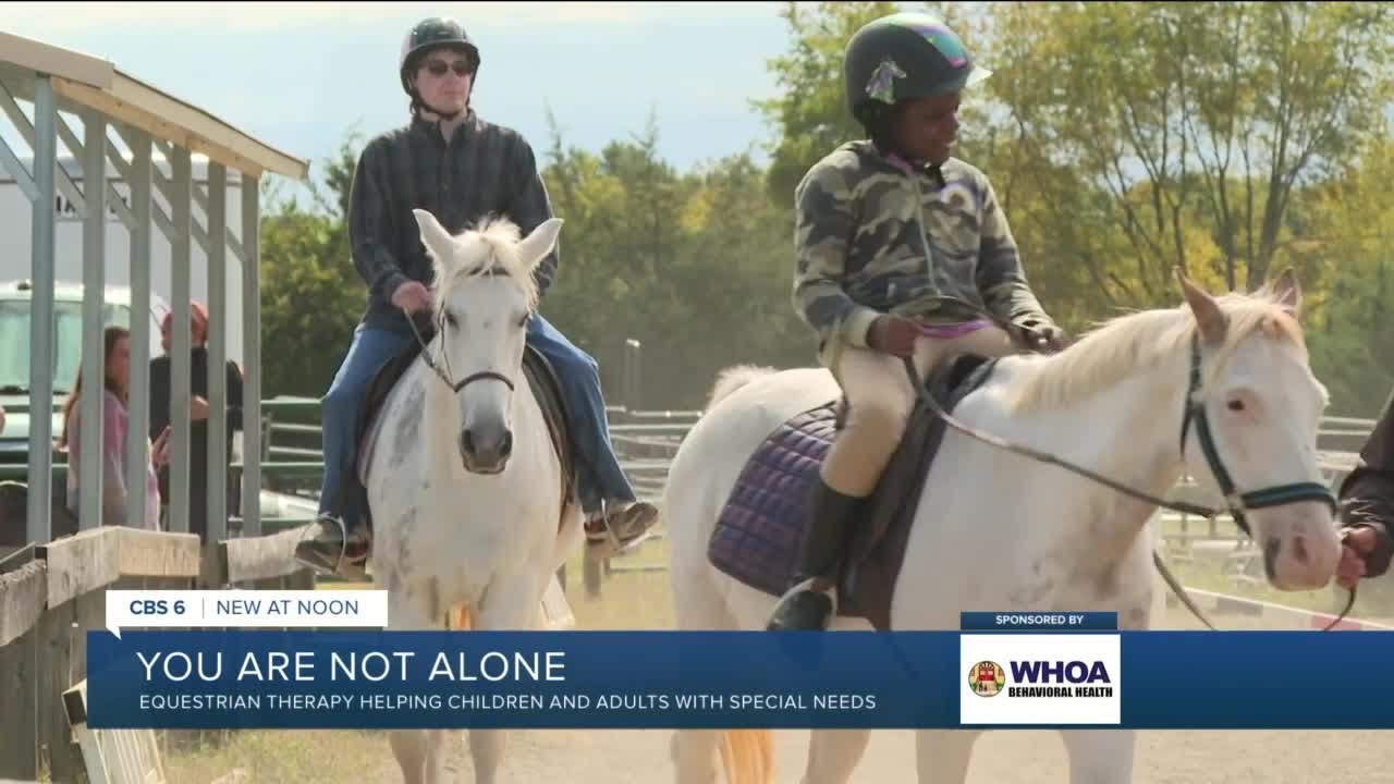 Equine therapy is changing lives