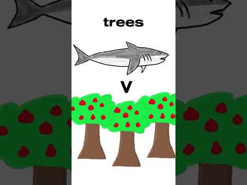 You didn't know these animal facts! #animalfacts #animals #facts #animation