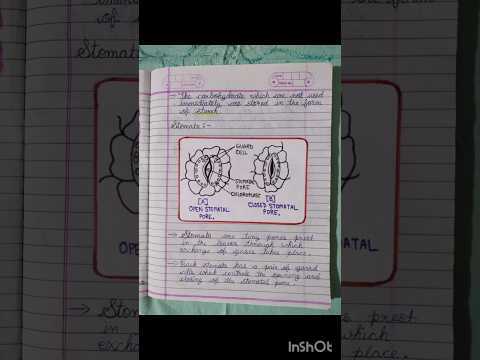 Autotrophic nutrition notes.Life Processes notes class10.Biology notes class10. 10th Standard notes.