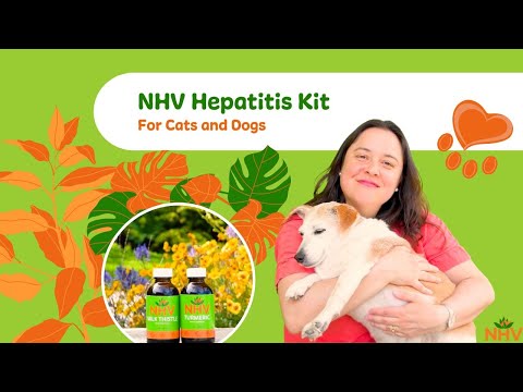 NHV Hepatitis Kit For Cats and Dogs