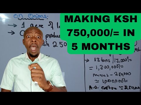 How to Make Ksh 750,000 in 5 Months on Onions.