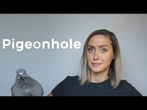 IDIOM: Pigeonhole Somebody