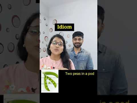 English Idiom | Two peas in a pod | Daily use Sentences | Preeti and Sachin | #shorts