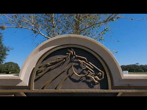 4780 NE 111TH LANE RD Anthony Farm Tour | Ocala Horse Farm