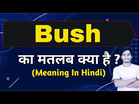 Bush meaning in hindi || bush ka matlab kya hota hai || word meaning english to hindi