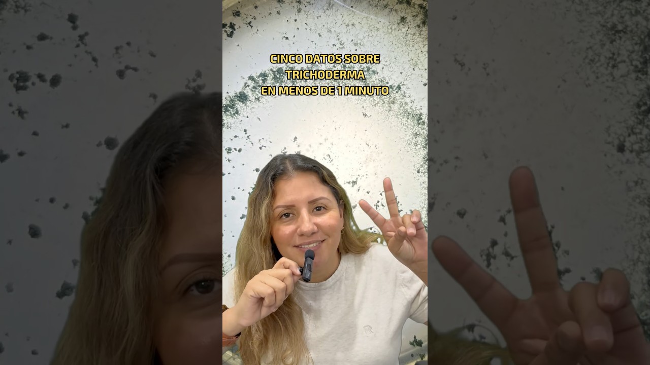 5 datos sobre #trichoderma en menos de 1 min. #vidadelsuelo #agro #microorganismos