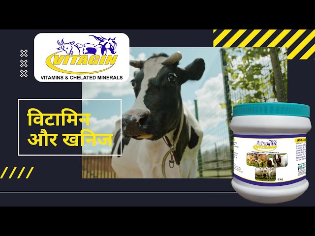 Poultry Medicines - Poultry Egg Enhancer Supplement (ovimin) Trader ...