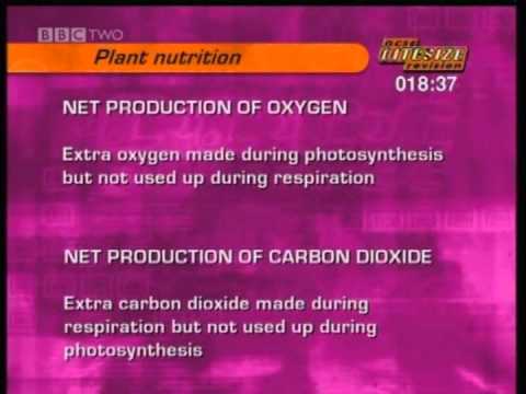 GCSE BBC Bitesize Higher Science - Plant Nutrition