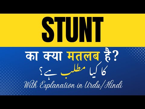Stunt Meaning in Hindi | 'Stunt Ka Kya Matlab Hota Hai' Hindi/Urdu Explanation Included