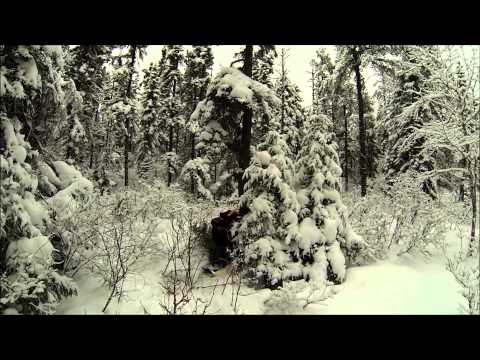 Surveying in the bush west of Rodgersville, New Brunswick