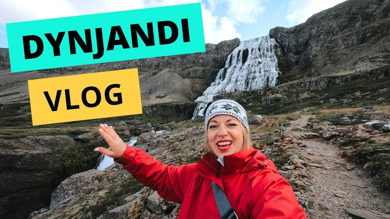 Dynjandi Waterfall + wild blueberry picking in Westfjords