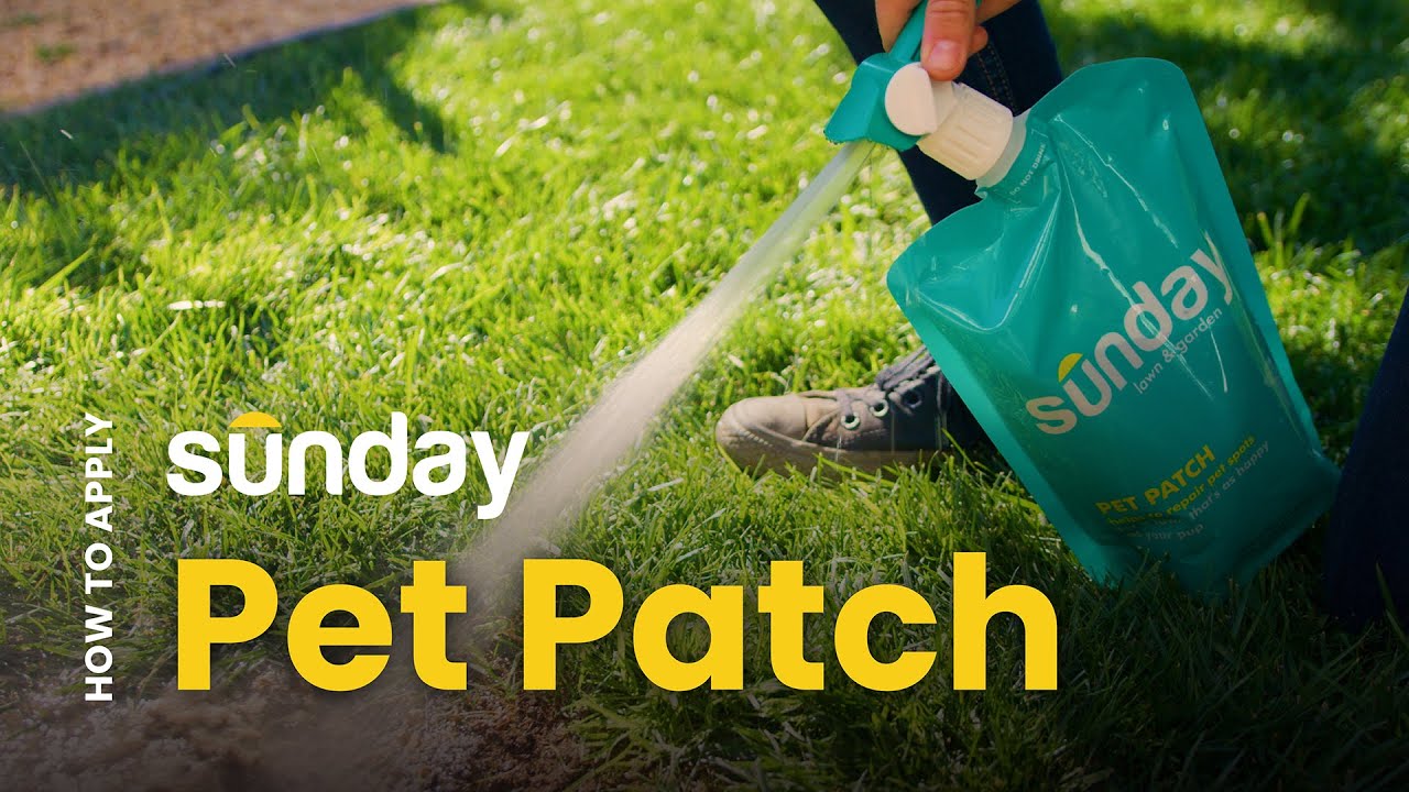 How to Apply Sunday Pet Patch