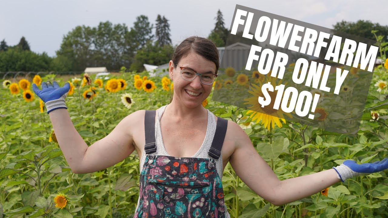 Start a Flower Farm With Only $100 - Complete Plan