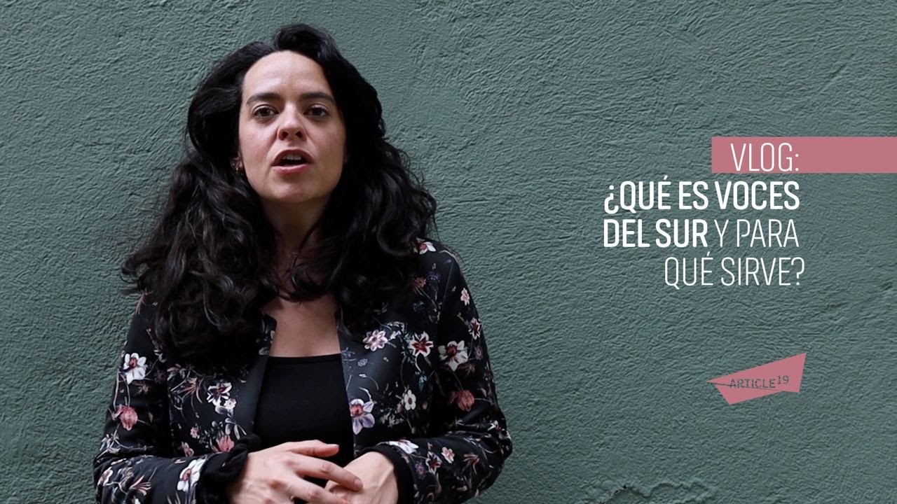 Inicio - Artículo 19