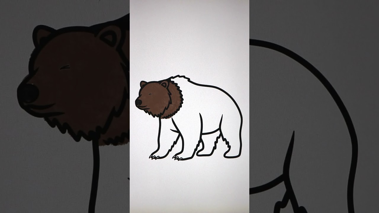 How to Draw Animals in the Forest | Drawing and Coloring a Grizzly Bear #art #drawing #animals