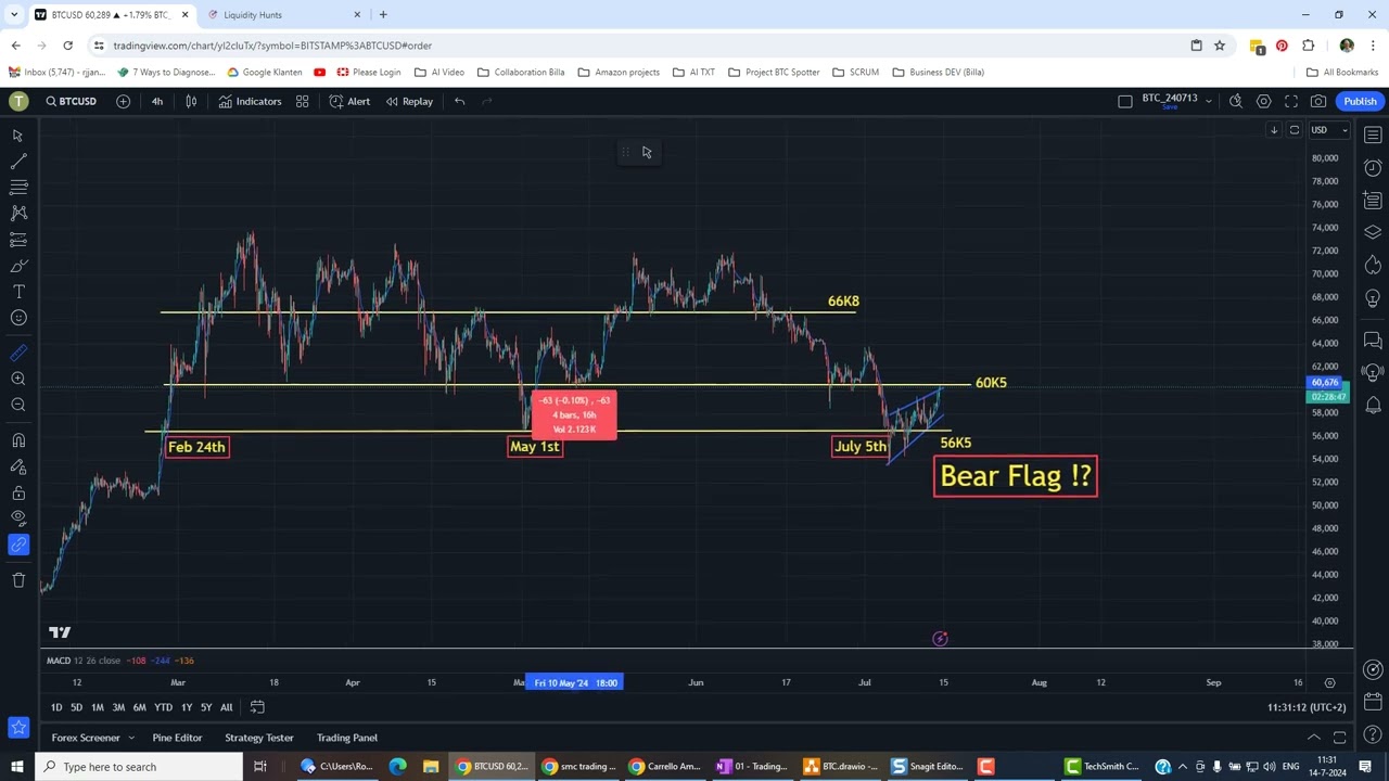 Bitcoin Bear Flag or possible breakout