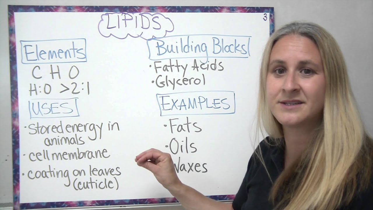 Organic compounds - 4 main types described