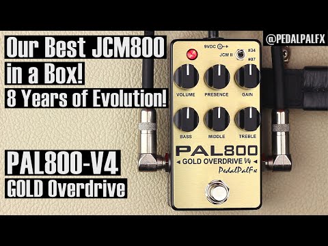PAL800-V4 GOLD Overdrive | Reverb