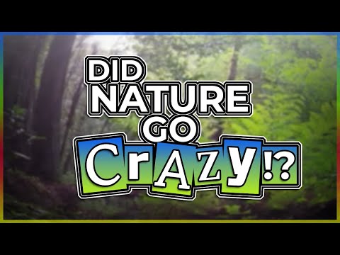 Did Nature Go Crazy?