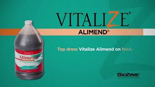 Media Gallery - Vitalize