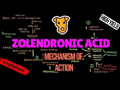 Zoledronic Acid Injection - Zoledronic Acid Infusion Latest Price ...
