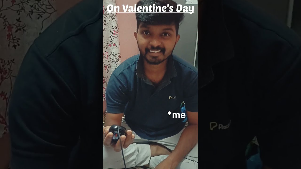 Couple vs Programmer on Valentine's Day 🤣 #funnyvideo