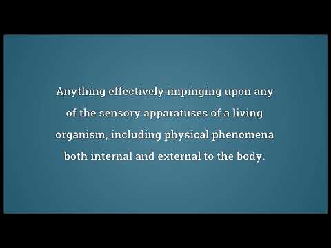 Stimulus Meaning
