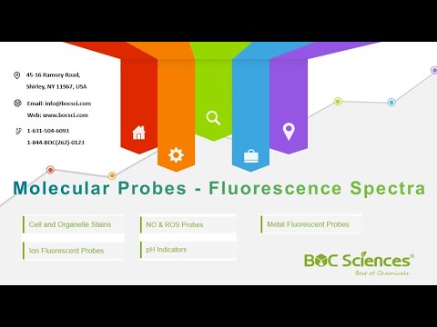 Molecular Probes: Illuminating Cellular Biology – What Are Molecular Probes? – BOC Sciences