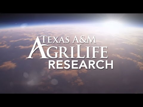 AgriLife Research Overview