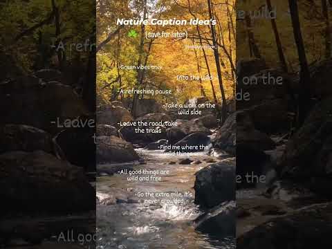 Nature Captions for Instagram | Nature Quotes βοΈ #nature #shorts #instagramcaptions