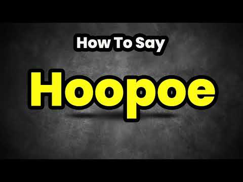How To Pronounce Hoopoe? (CORRECTLY) Meaning & Pronunciation
