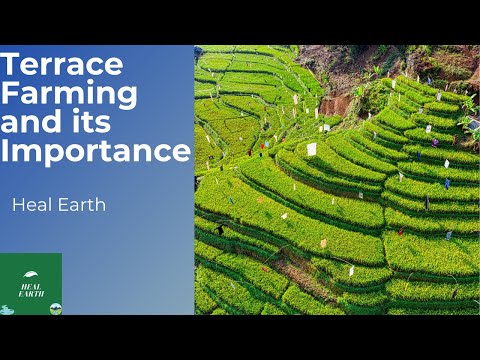Terrace Farming and its Importance / Heal Earth