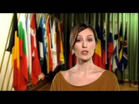 EU Constitution of the EU - a definition
