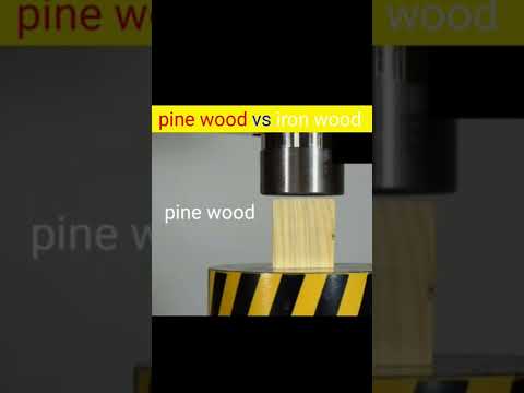 लोहे की लकड़ी बनाम देवदार की लकड़ी|pine wood bs iron wood|Fact inFoist@viral#shorts