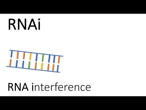 RNAi - RNA interference