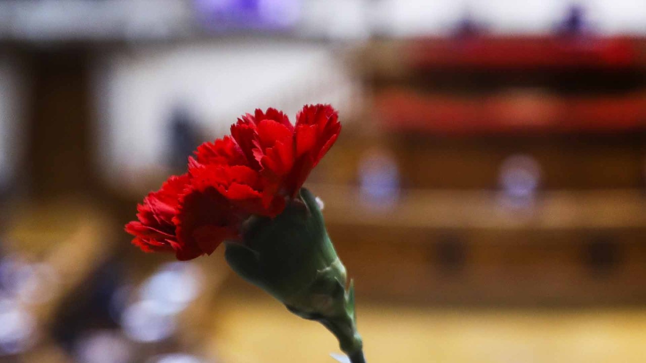 Cerimónia de comemoração do 25 de Abril no Parlamento
