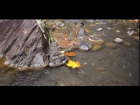 Instrumental Music - Autumn Colors GIFs to Help You Study, Craft, Meditate, Relax and Chill.