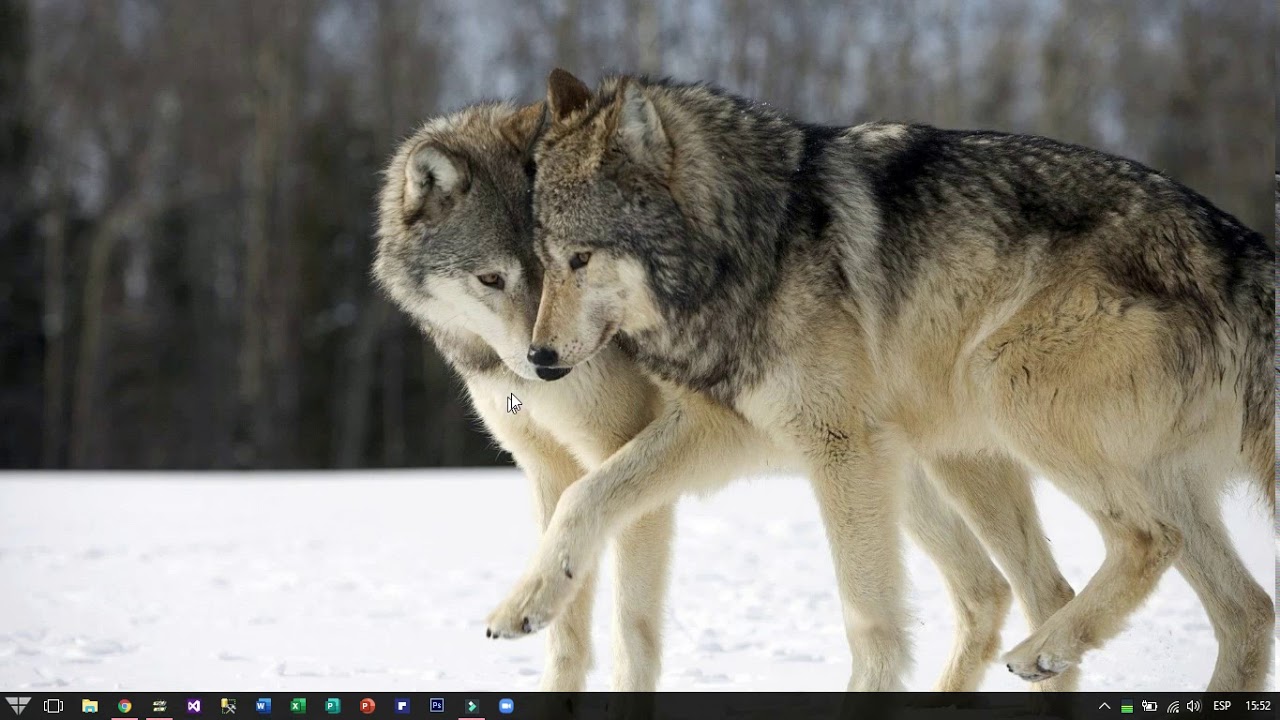 Tutorial: Instalación - BASIC256