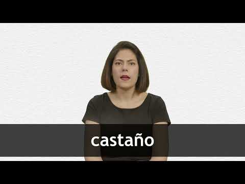 English Translation of “CASTAÑO” | Collins Spanish-English Dictionary