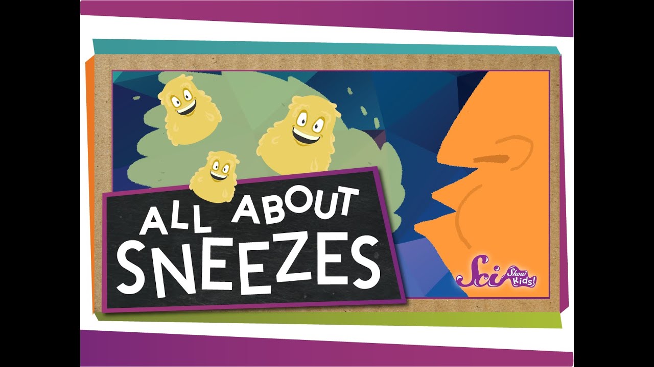 All About Sneezes!