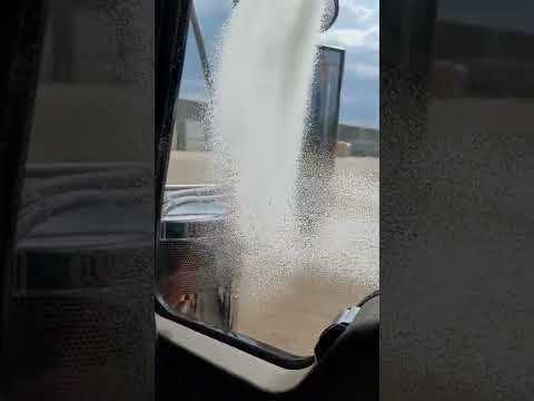 BullSnot versus Scooter Snot