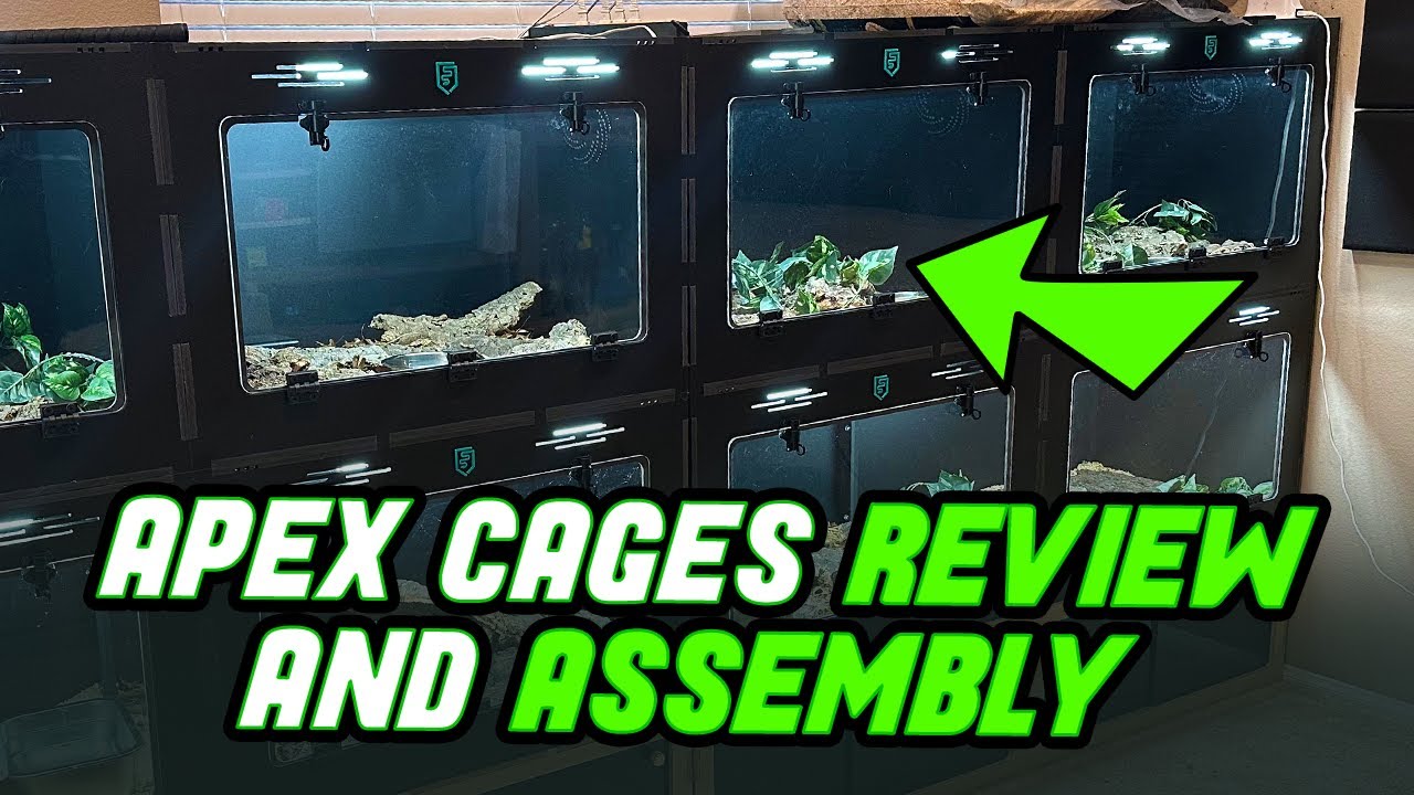 Apex Modular Cage Assembly & Review