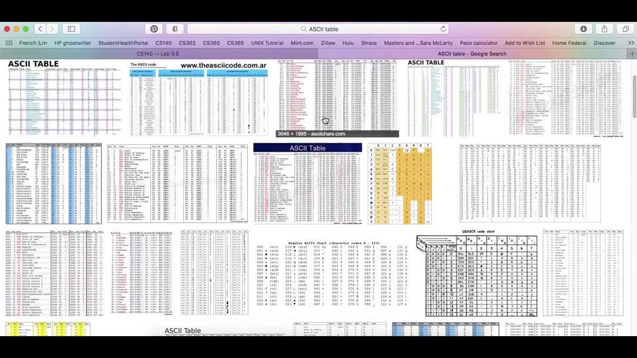 CS202 Lab 0.5 - ASCII Tricks
