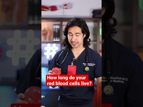 How long do your red blood cells live? #doctor #redbloodcells