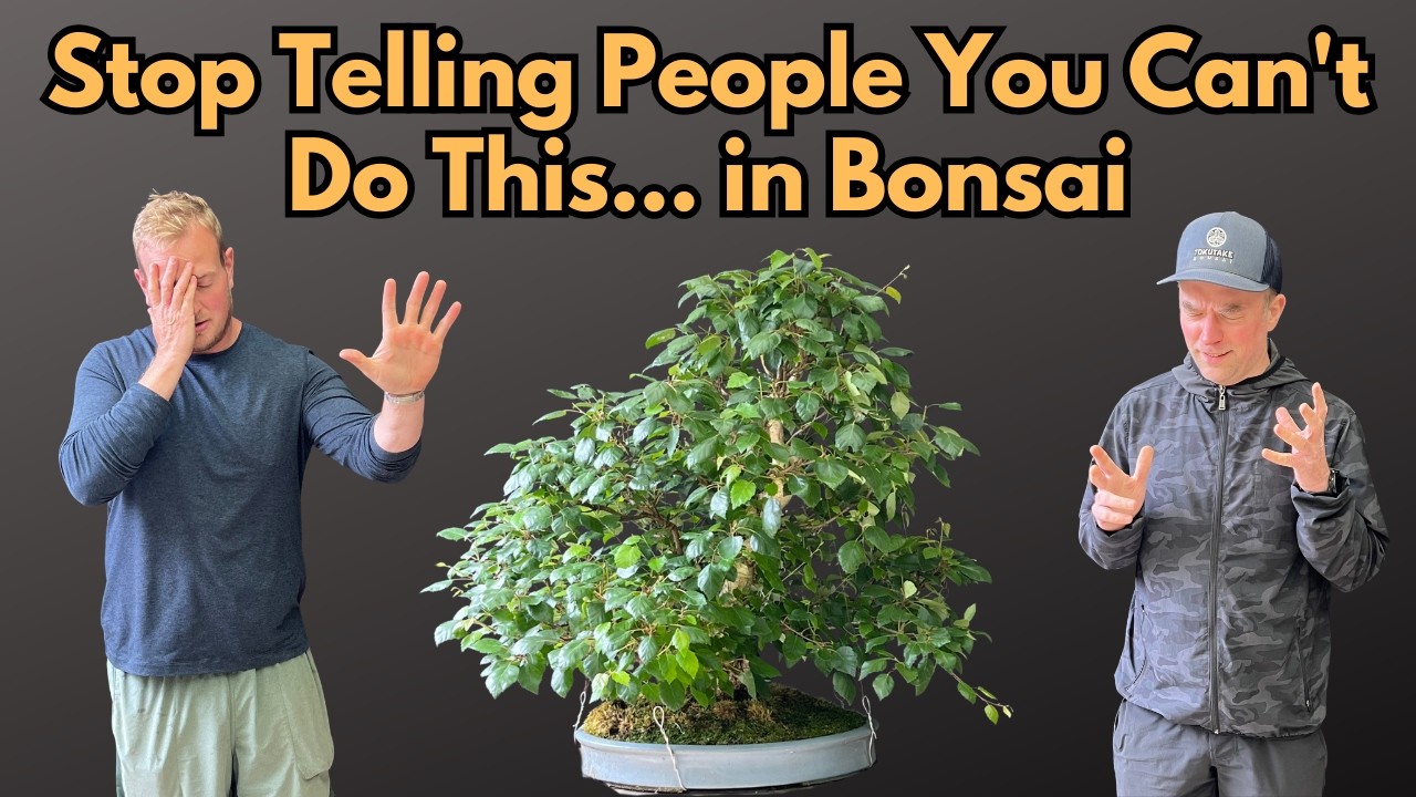 Stop Telling People You Can't Do These 5 Things... in Bonsai - Deciduous Bonsai Podcast Episode 29