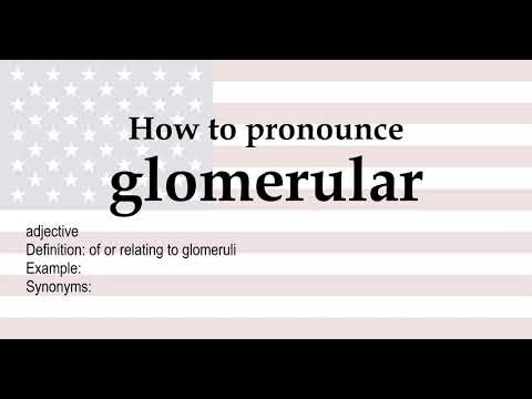 How to pronounce 'glomerular' + meaning