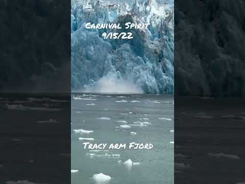 Carnival Spirit Tracy Arm Fjord Excursion. 9/15/22 #shorts