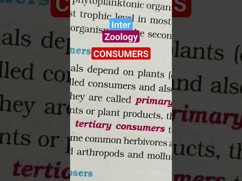 INTER ZOOLOGY CONSUMERS