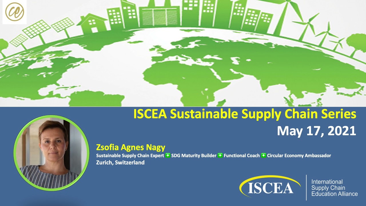 Sustainability in Small and Medium Enterprises - Zsofia Agnes Nagy