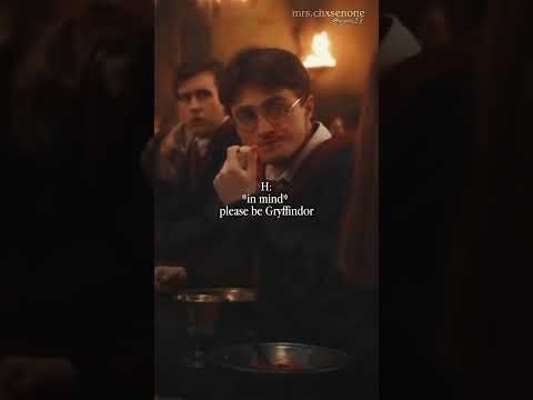 POV: Y/n comes at Hogwarts | SOULMATES pt.5